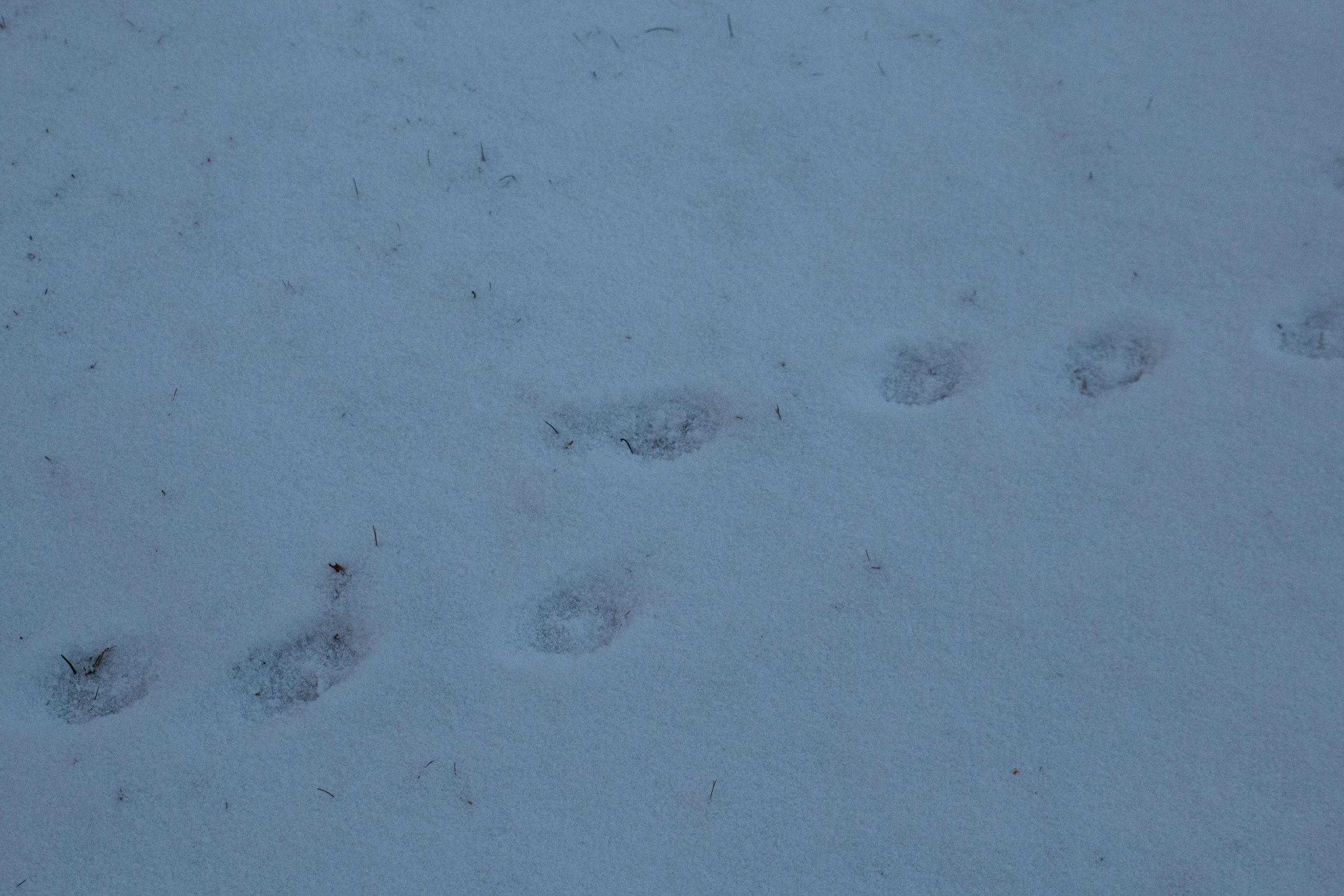 Lumi Ilmaisia Kuvia Suomesta